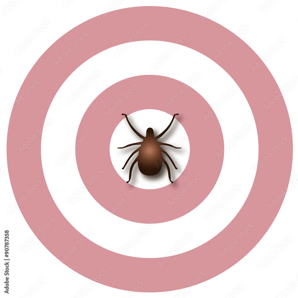 Lyme Disease, bulls-eye rash, tick, concentric circles design Stock ...