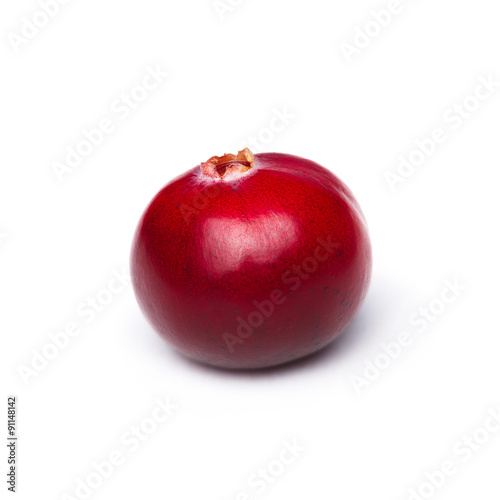 Single cranberry - Buy this stock photo and explore similar images at ...
