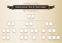 Family Tree Free Stock Photo - Public Domain Pictures