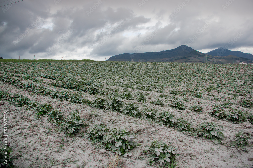 Cotopaxi volcano eruption, Ecuador Stock Photo | Adobe Stock