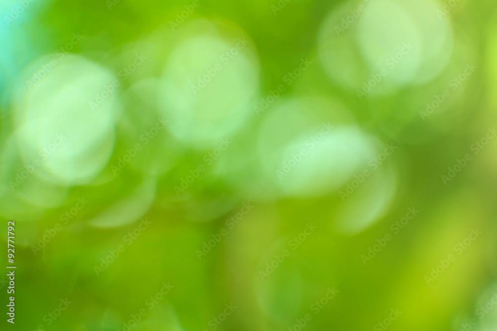 Abstract green nature background blur Stock Photo | Adobe Stock