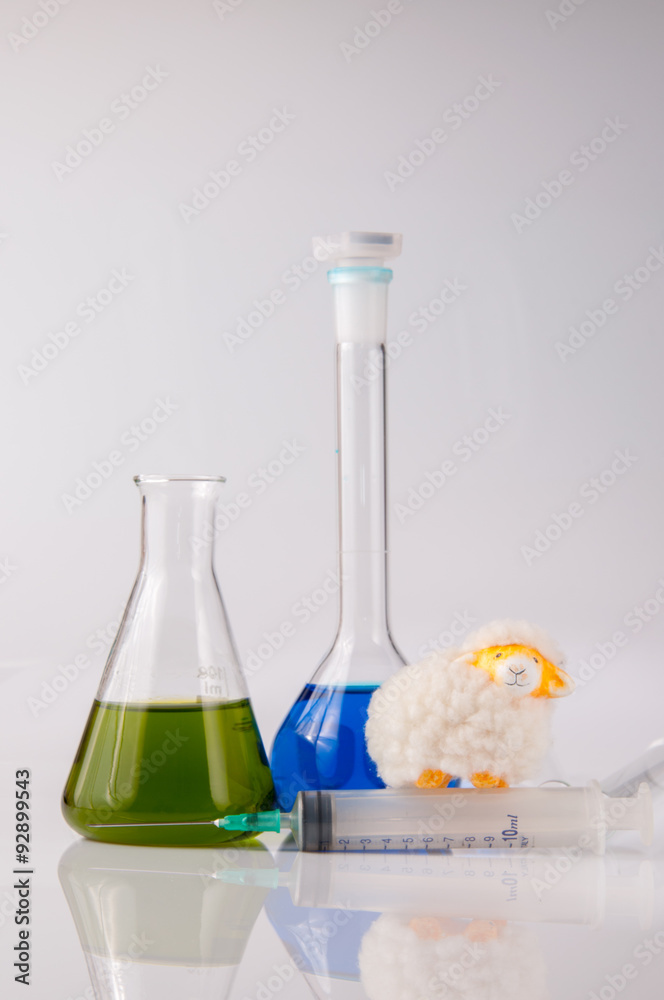 Image of a little puppet sheep in a laboratory. The picture tries to ...