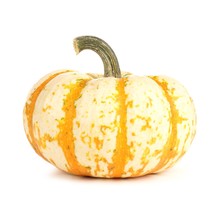 White Striped Pumpkin Background Free Stock Photo - Public Domain Pictures