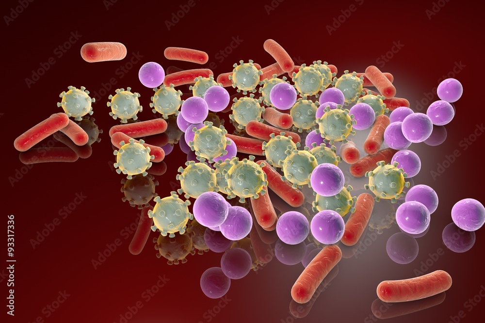 Microbes. Bacteria and viruses, Escherichia coli, Salmonella, Shigella ...