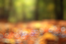 Autumn Theme Abstract Background Free Stock Photo - Public Domain Pictures