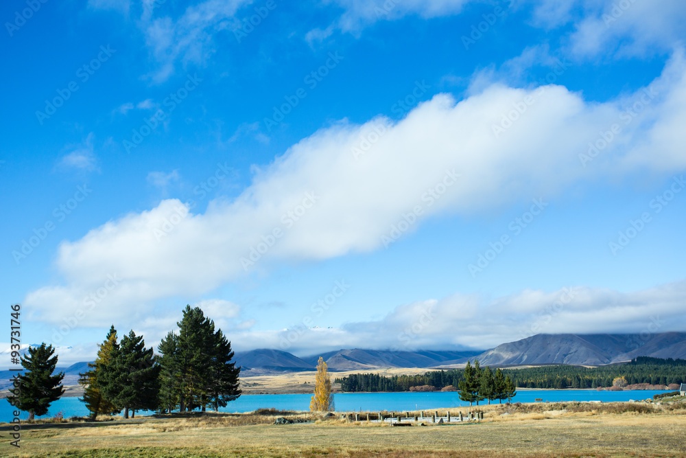 Viewpoint of the Lake Tekapo has a beautiful sight of the lawn and ...