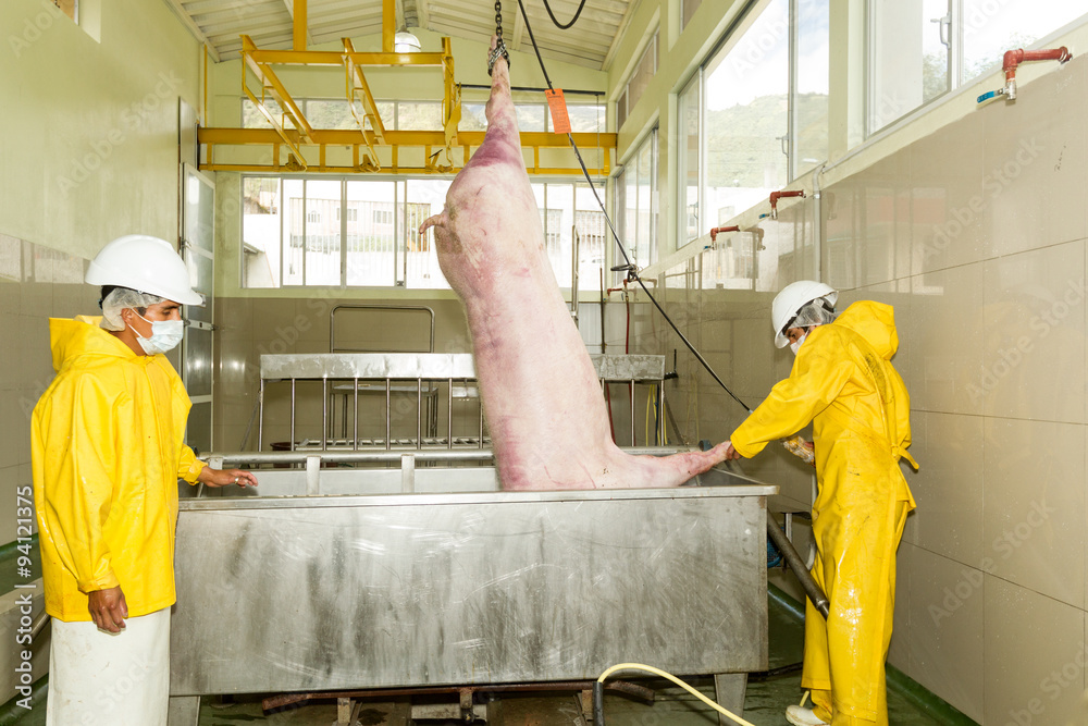 A sanitized slaughterhouse processing pork carcasses with safety ...
