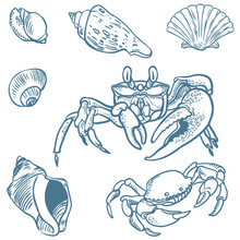 Crab Sea Wreath Free Stock Photo - Public Domain Pictures