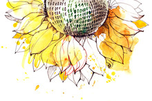 Sunflower Digital Art Painting Free Stock Photo - Public Domain Pictures
