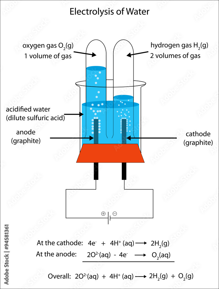 Fully labeled diagram of the electrolysis of water to form hydrogen and ...