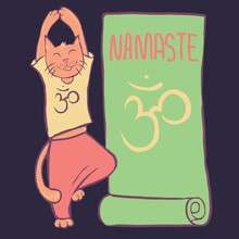 Namaste Cat Free Stock Photo - Public Domain Pictures