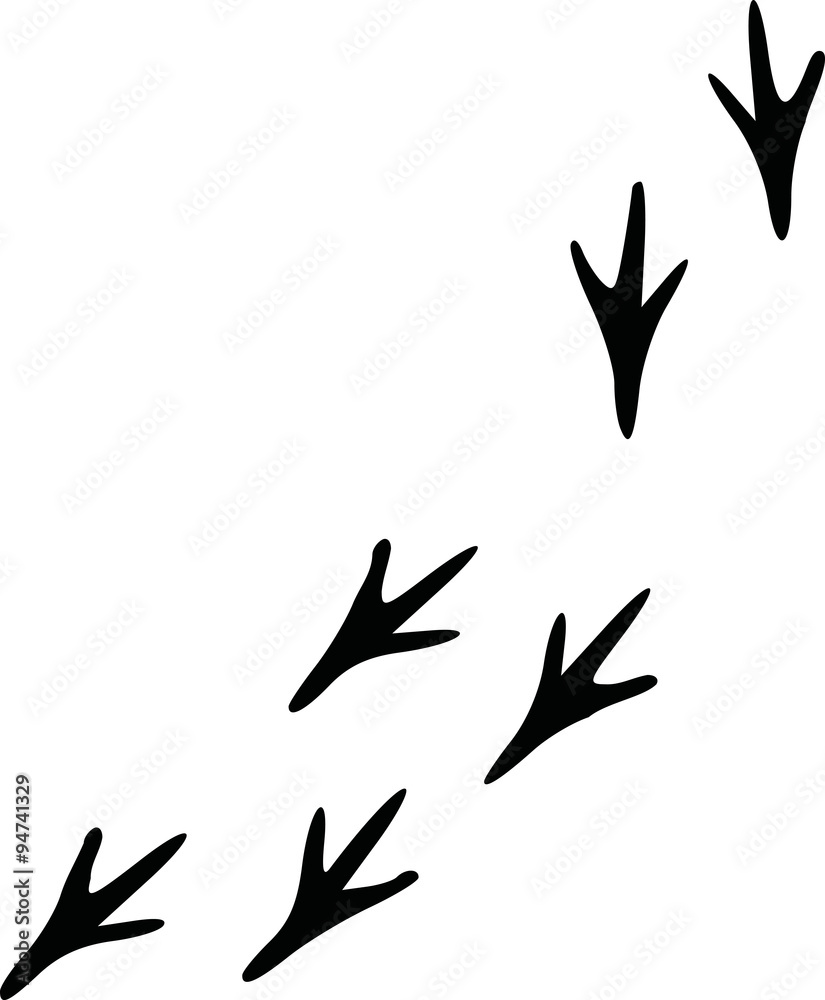 Bird footprints track Stock Vector | Adobe Stock