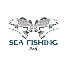 Vintage Cod Fish Art Free Stock Photo - Public Domain Pictures