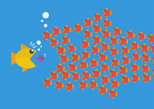 Big Fish Little Fish Metaphor Free Stock Photo - Public Domain Pictures