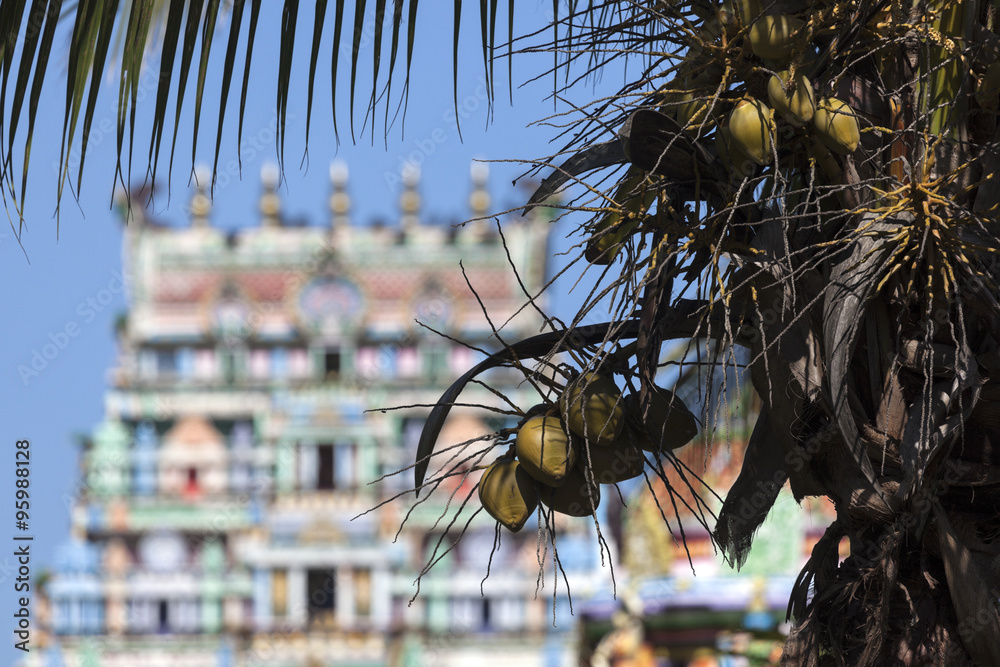 Sri Siva Subramaniya Swami Hindu Temple in Nadi Stock Photo | Adobe Stock