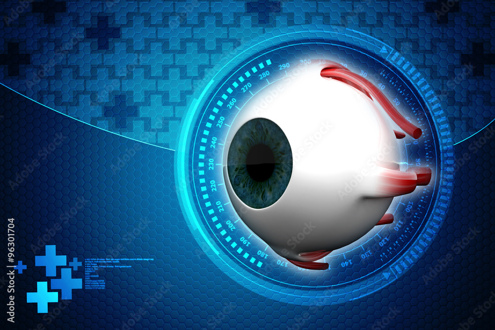 Human Eye Dissection Anatomy Stock Illustration | Adobe Stock