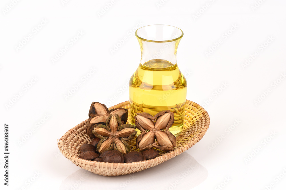 Plukenetia volubilis, commonly known as sacha inchi, sacha peanut ...