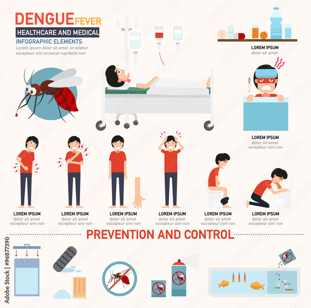 Dengue fever infographics Stock Vector | Adobe Stock
