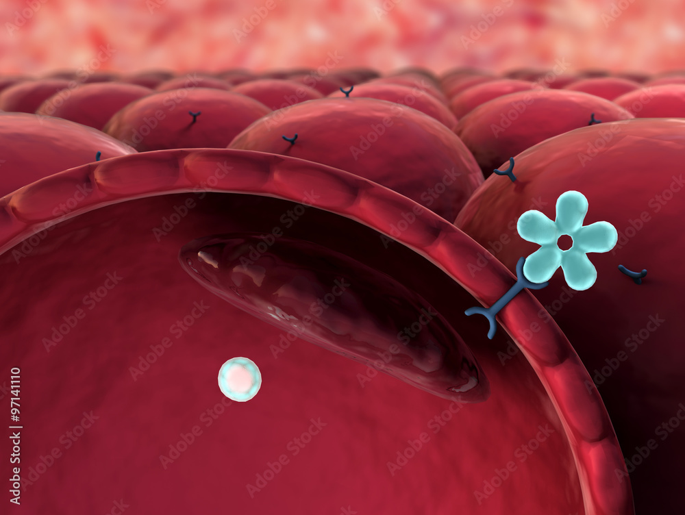 cell and insuline, mechanism of action of insulin, glucose, Human ... cell and insuline, mechanism of action of insulin, glucose, Human ...