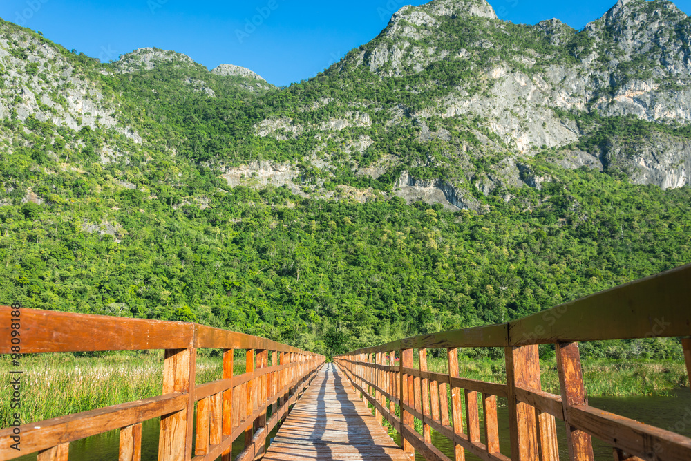 Wooden Bridge in lotus lake at Khao Sam Roi Yot Stock Photo | Adobe Stock