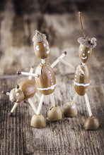 Chestnut Dolls Free Stock Photo - Public Domain Pictures