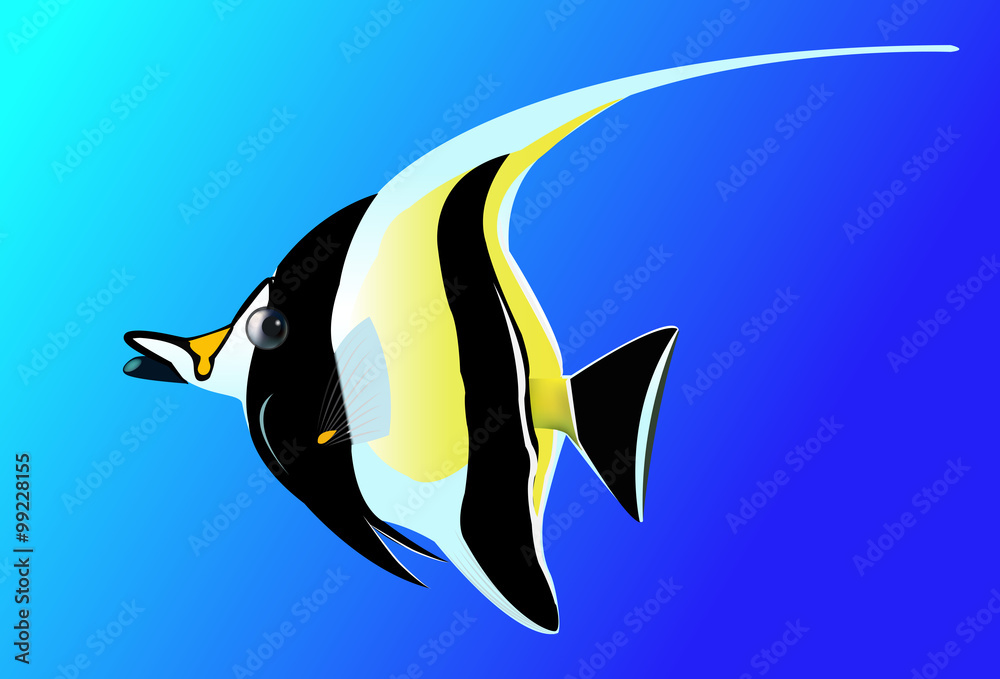 Cute black and white angel fish clip art isolated Stock Vector | Adobe ...
