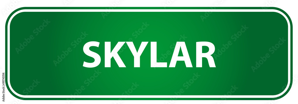 Popular girl name Skylar on a green traffic sign Stock Vector | Adobe Stock