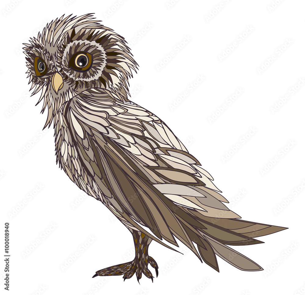 Graphic illustration owl. Hand drawn. Stock Illustration | Adobe Stock