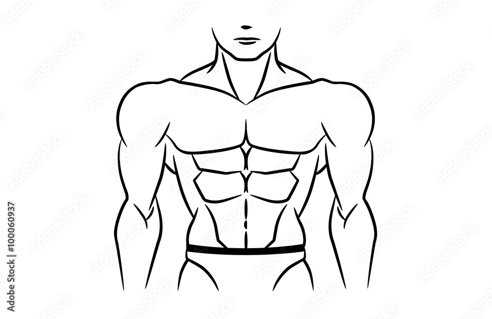 Perfect abdominal muscles is six pack of bodybuilder. This illustration ...