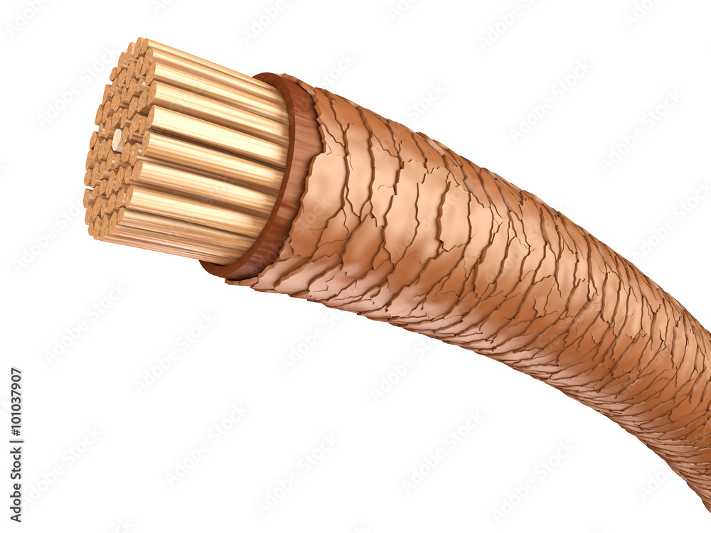 Haarstruktur: Querschnitt 3D-Illustration Stock Illustration | Adobe Stock
