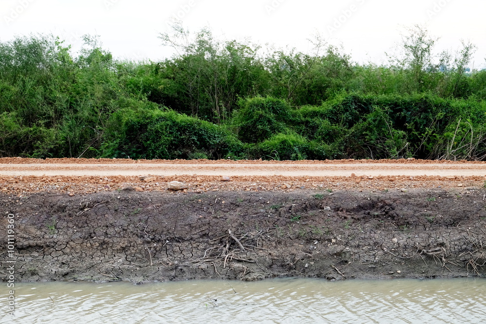 See tree,gravel,ground,water is layer Stock Photo | Adobe Stock
