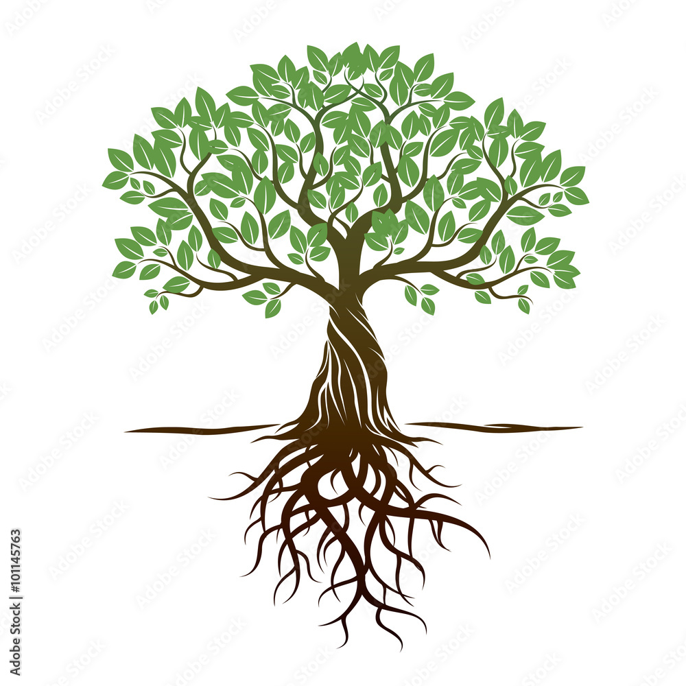 root tree vector