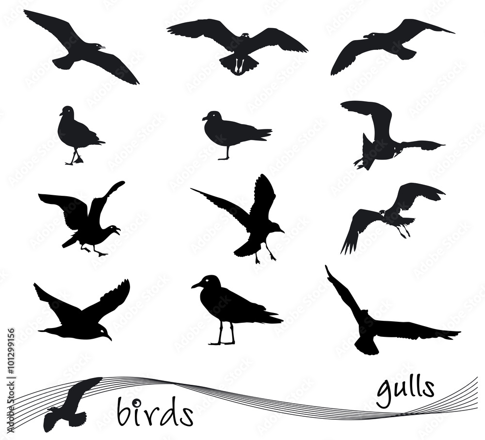 Vector collection of silhouettes of gulls Stock Vector | Adobe Stock