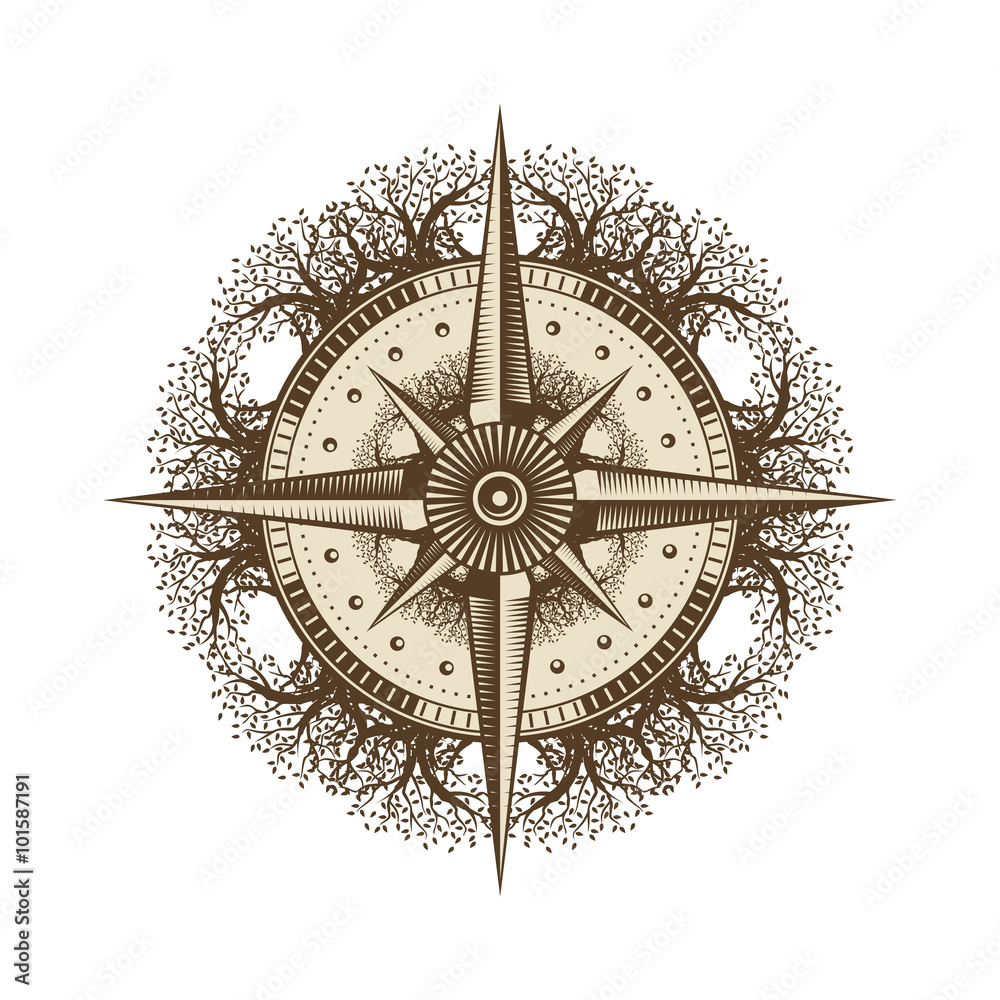 Nature Compass in Unique Wind Rose Stock Vector | Adobe Stock