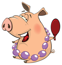 Pig Reflection Free Stock Photo - Public Domain Pictures