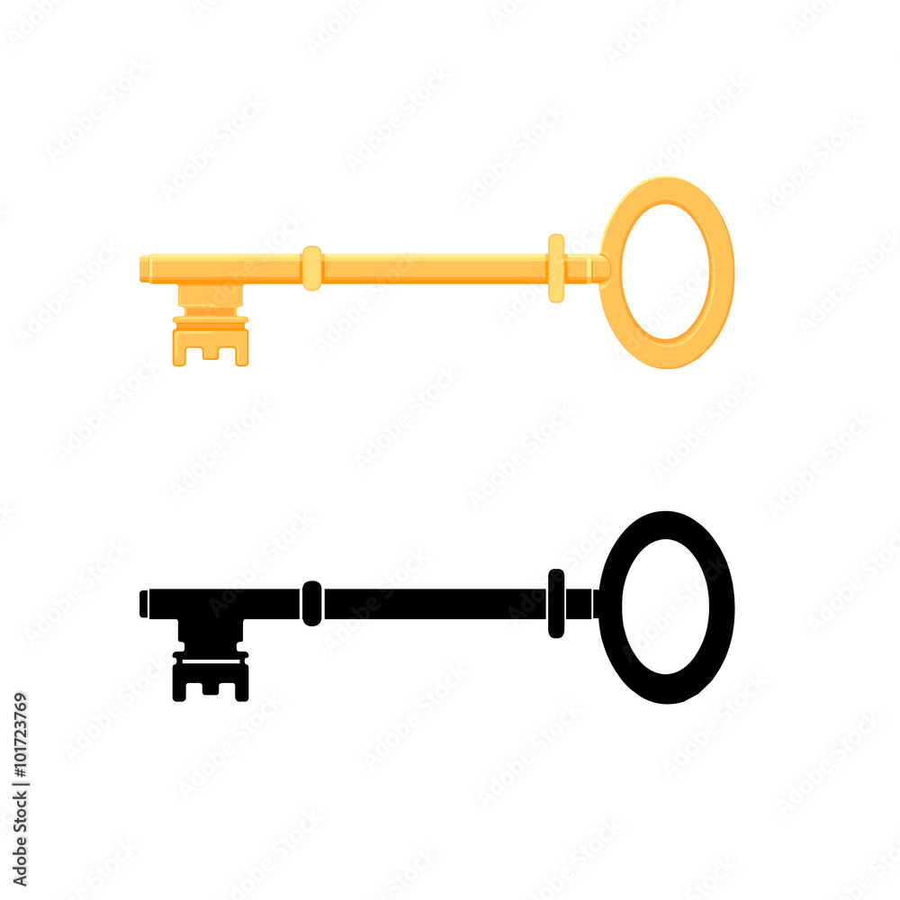skeleton key icon