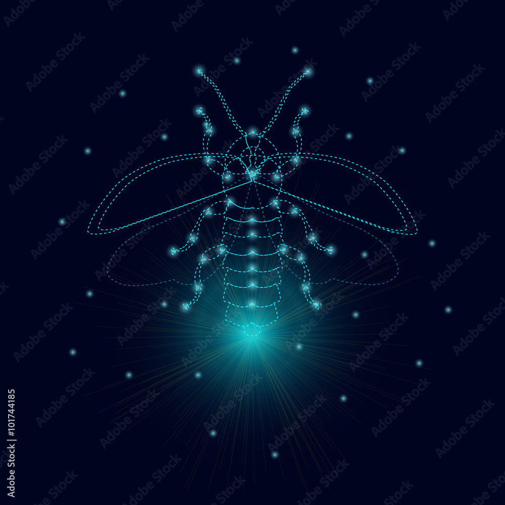 Firefly bug logo design template. Luminous firefly. Firefly with ...