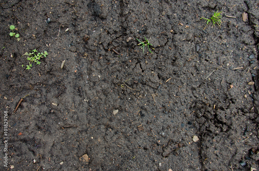 Image of red soil texture. Drought. soil dirt texture with some fine ...