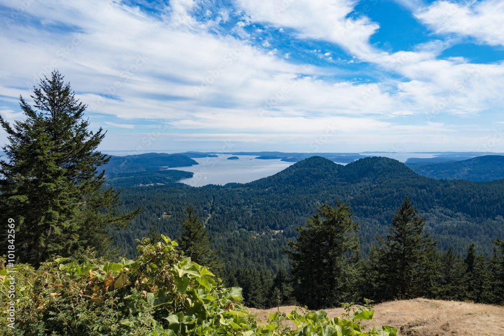 Orcas Island View of the Puget Sound, Forests, and Mountain Peaks from ...