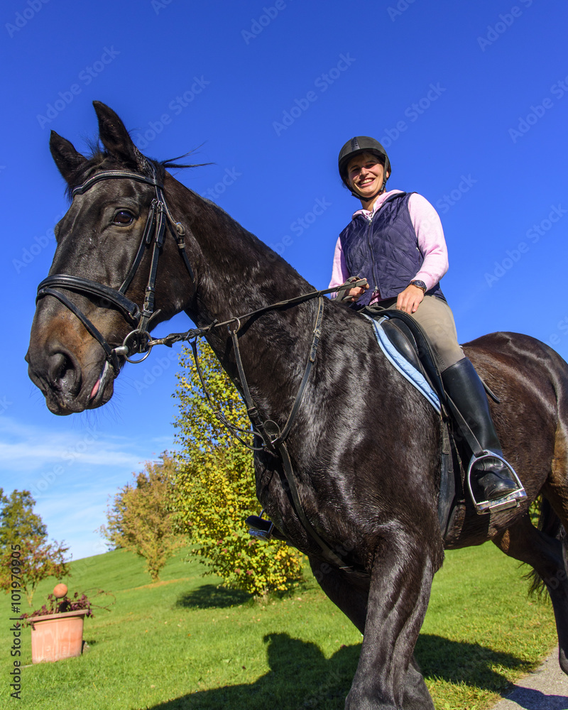 Stock-Foto „Pferd mit Reiterin“ | Adobe Stock