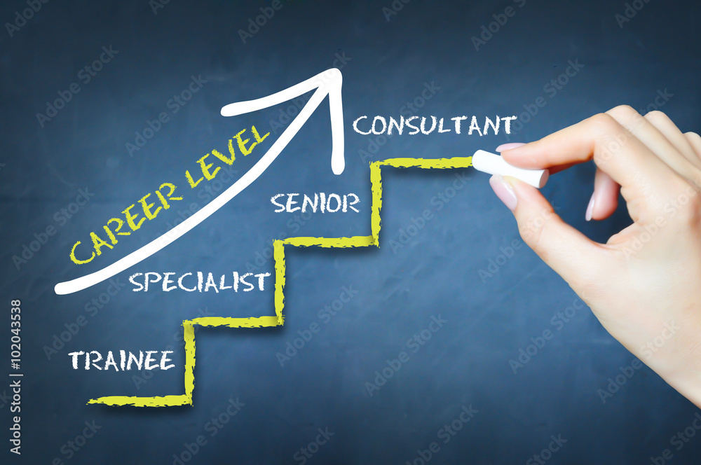 What is your career level or measuring your work experience stages ...