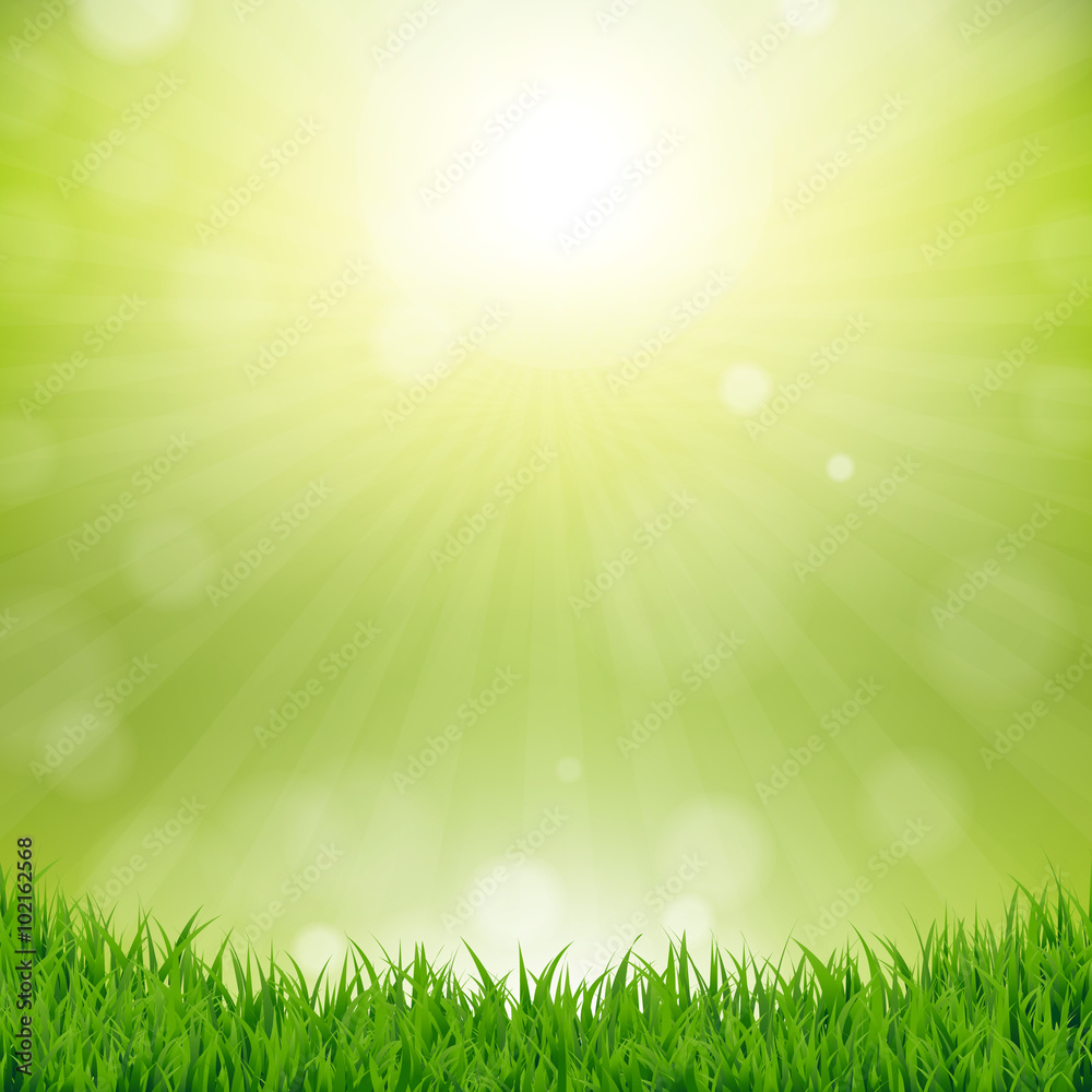 Grass Border With Nature Background Stock Vector | Adobe Stock