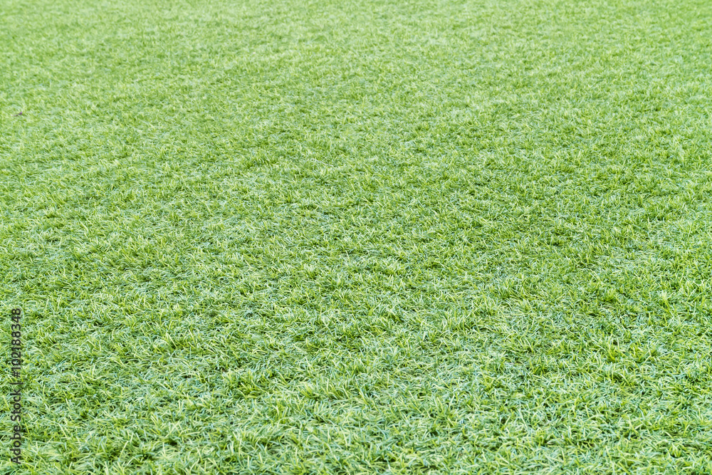 Artificial grass texture background perspective Stock Photo | Adobe Stock