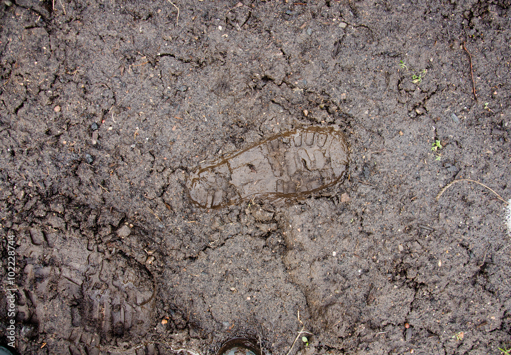 Footprint in the dirt. Brown road dirt with footprints. Background ...