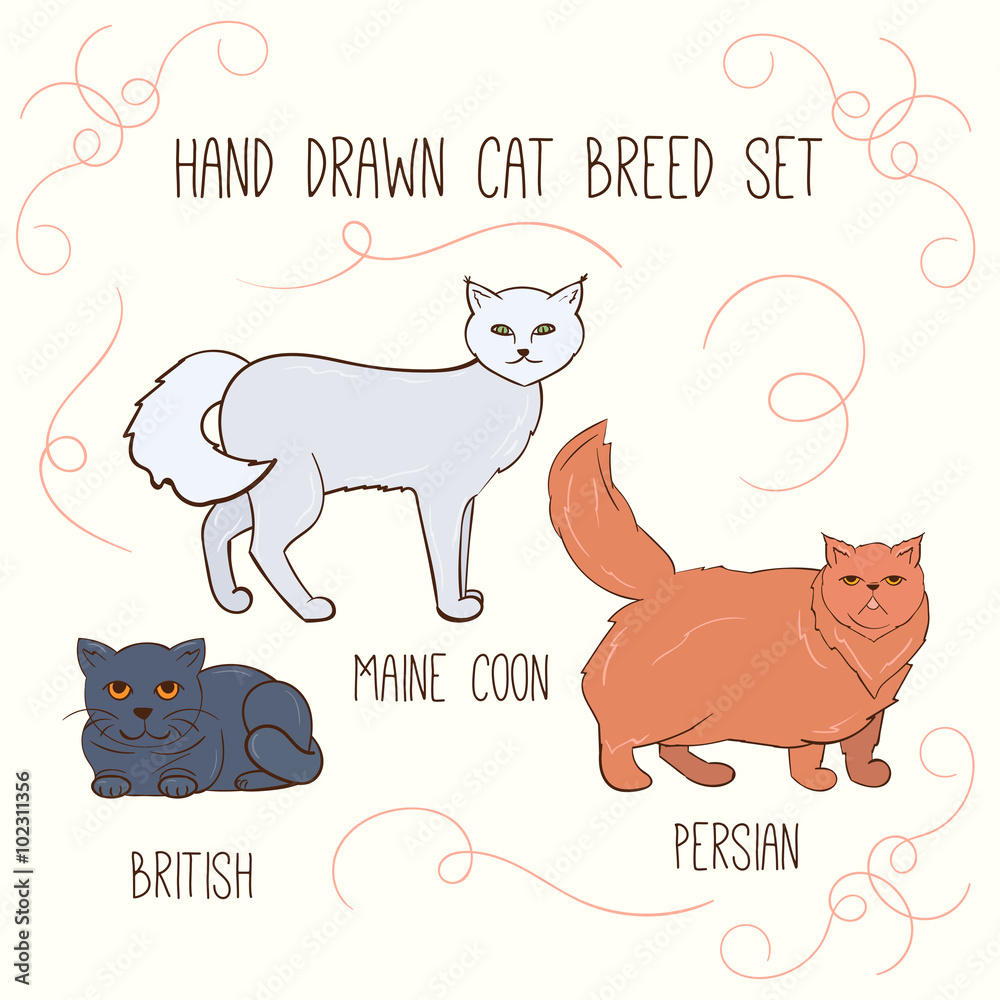 Cat breeds vector set. Hand drawn cats illustration. Stock Vector ...