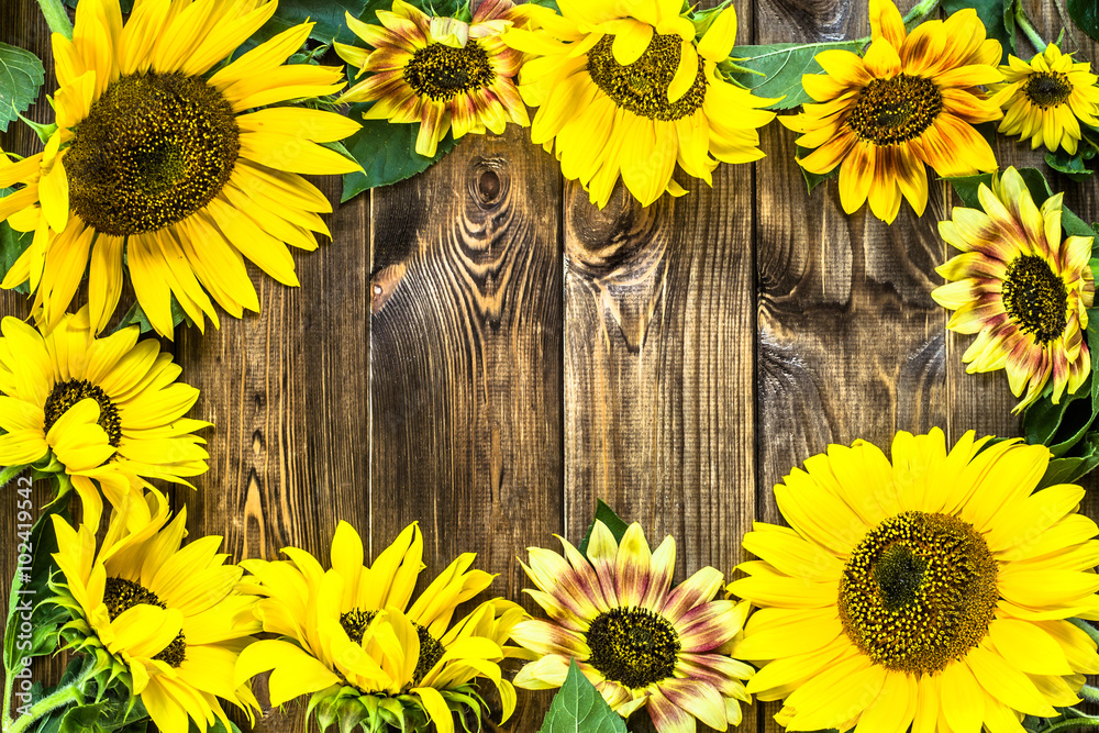 Sunflowers on rustic wood background. Flowers backgrounds. Stock Photo ...