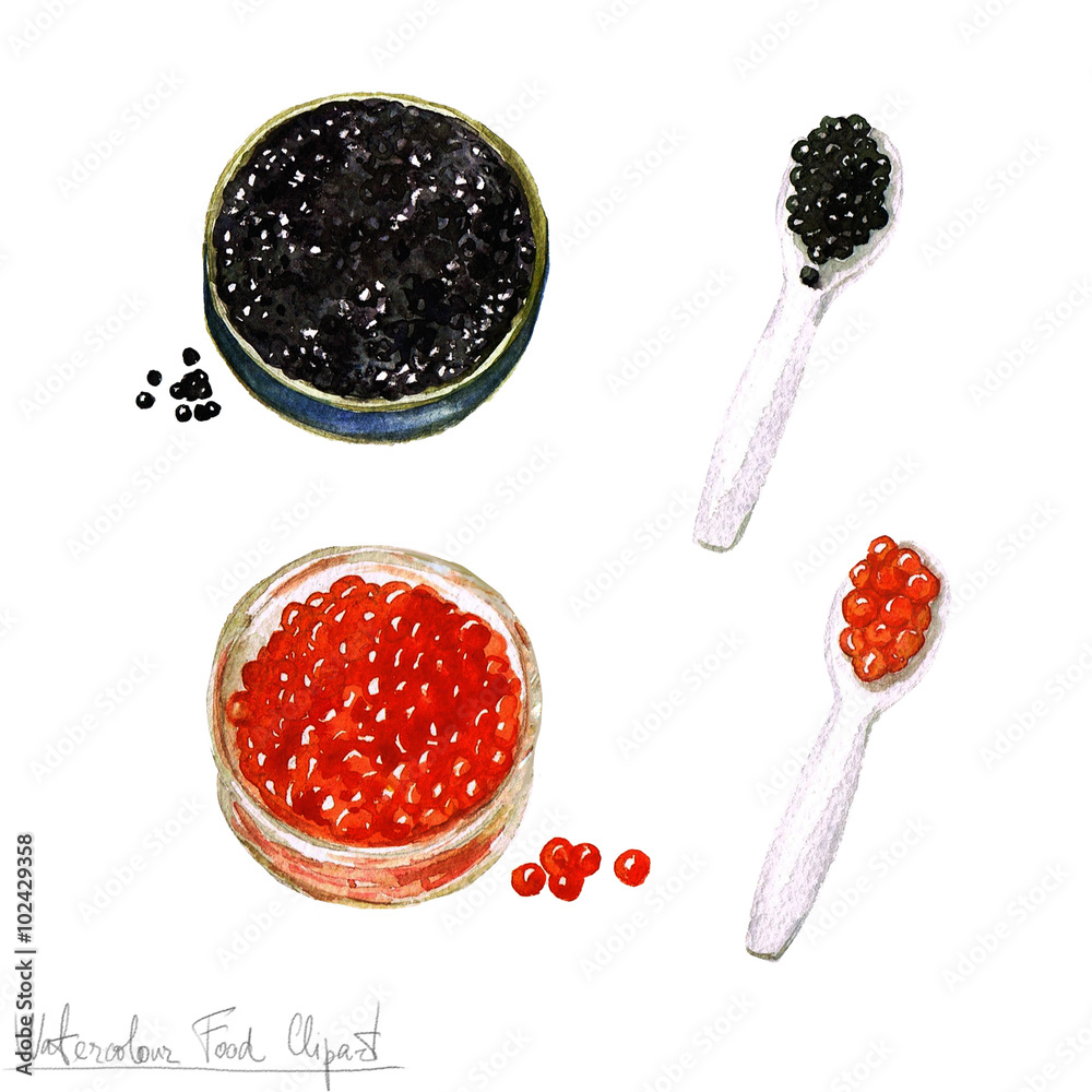 Ilustrasi Stok Watercolor Food Clipart - Salmon roe and Sturgeon caviar ...