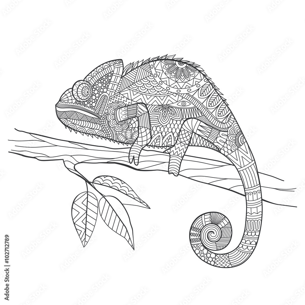Zentangle stylized Chameleon lizard. Hand Drawn vector illustrat Stock ...
