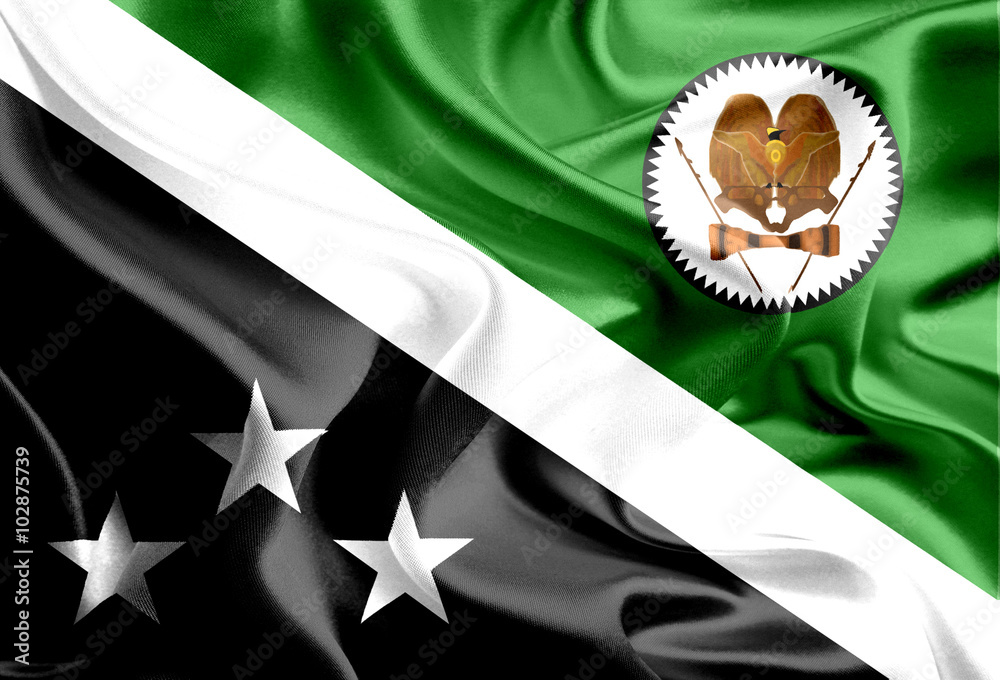 Flag of Western Highlands, Papua New Guinea Stock Illustration | Adobe ...