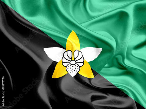 Flag of Enga Province, Papua New Guinea Stock Illustration | Adobe Stock